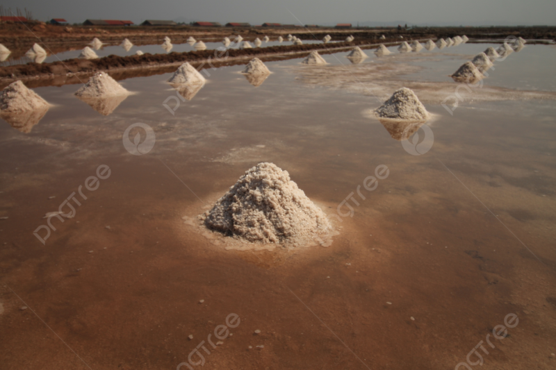 Kampot Salt Fields - A place to preserve traditional salt making ...